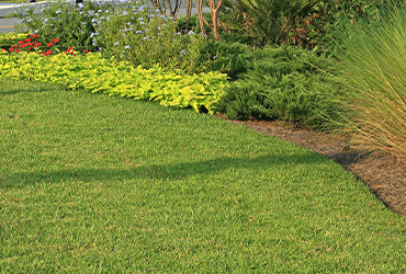 Sod Types - Sodmasters Landscape Center